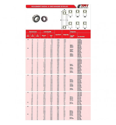 ROULEMENTS SERIE 6300