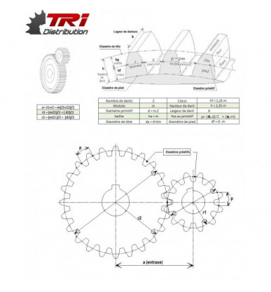 ENGRENAGE MODULE 1.5