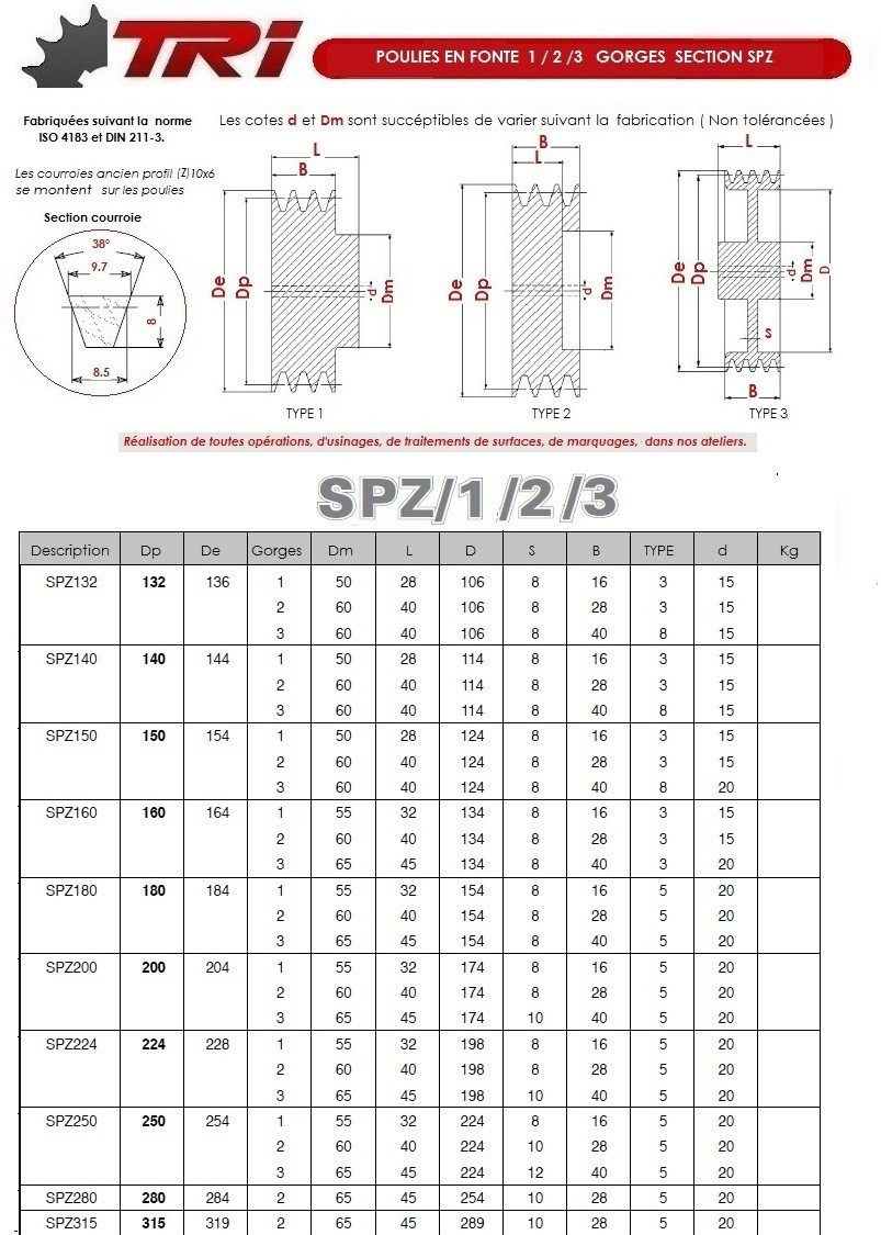 POULIES FONTE SPZ 1 GORGE