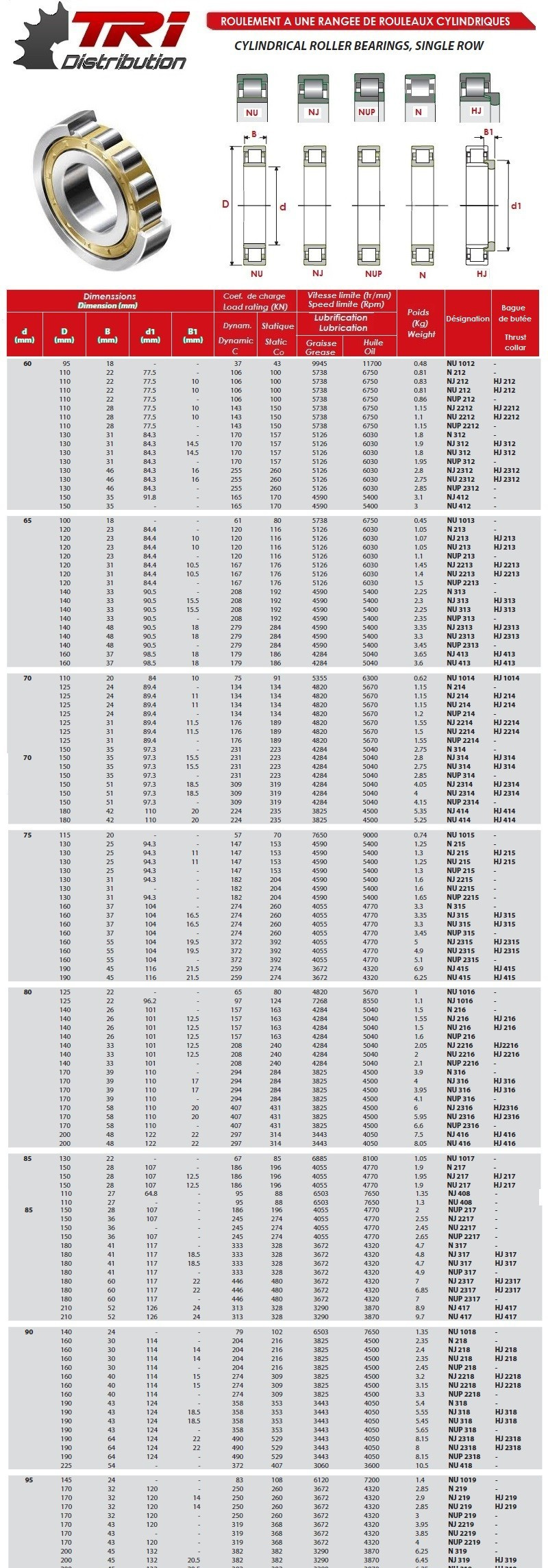 ROULEMENTS, A , ROULEAUX, CYLINDRIQU,E SERIE, N200,N300,N2200,N2300