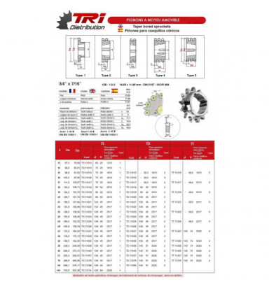 Pignon simple 12B1 - Pour moyeu amovible - Pas 19.05