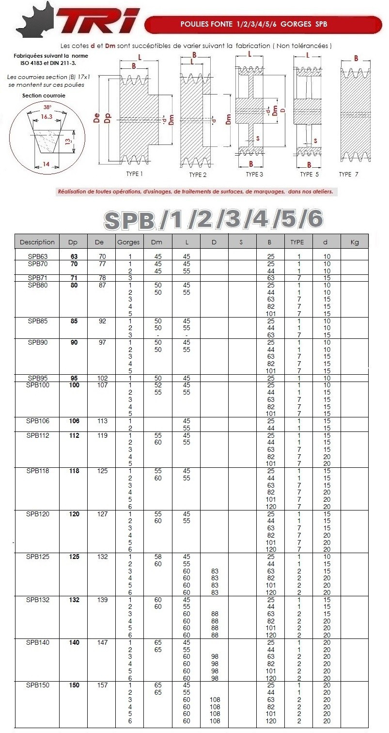 POULIE SPB 6 GORGES - FONTE