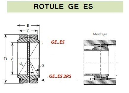 ROTULES RADIALES GE..DO (ES)